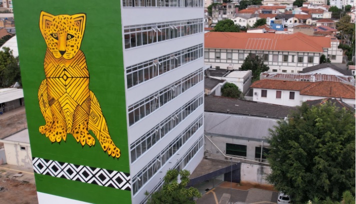 São Paulo Ganha A Partir De Hoje O Museu Das Culturas Indígenas